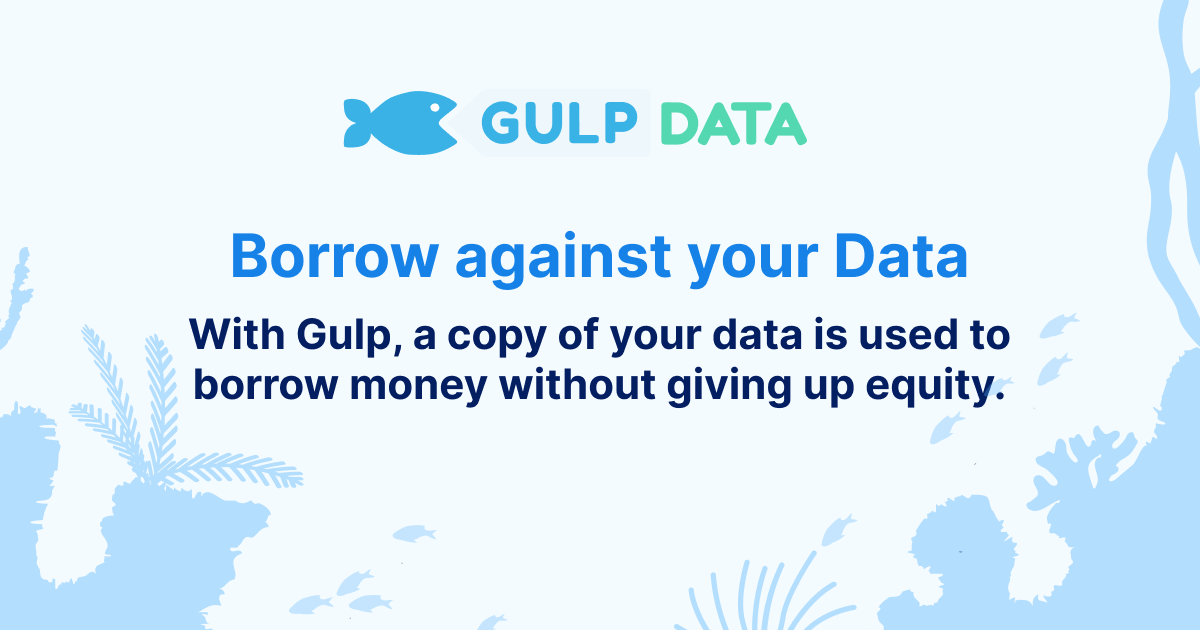 Gulp Data | Raise Dilution-Free Capital Using Your Data
